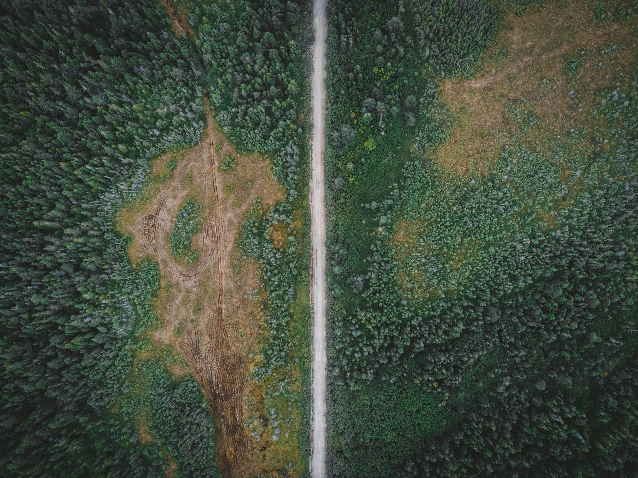 Was ist die EUDR-Verordnung? Wichtige Regeln und Leitfaden zur Einhaltung