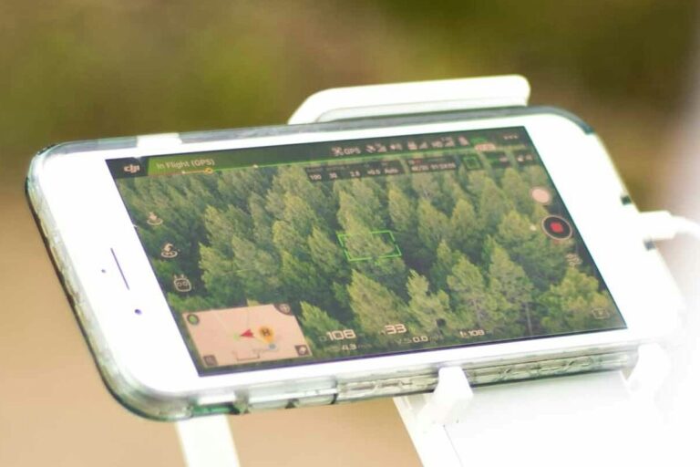 Remote Sensing for Deforestation Monitoring