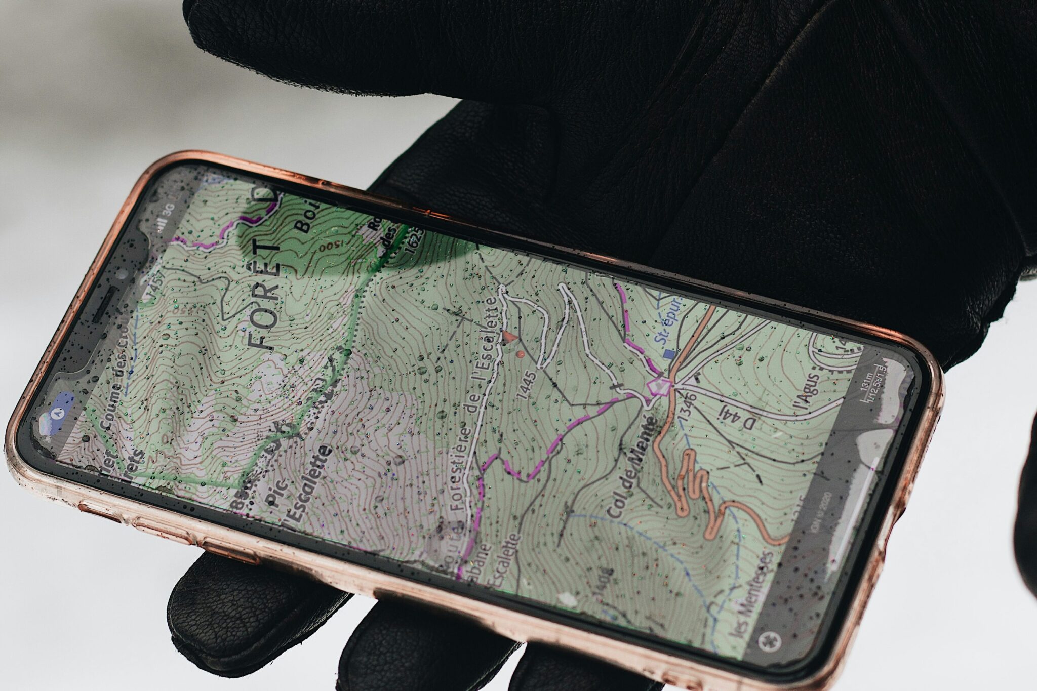 EUDR Compliance Services: eudr.co Platform for Traceable Due Diligence