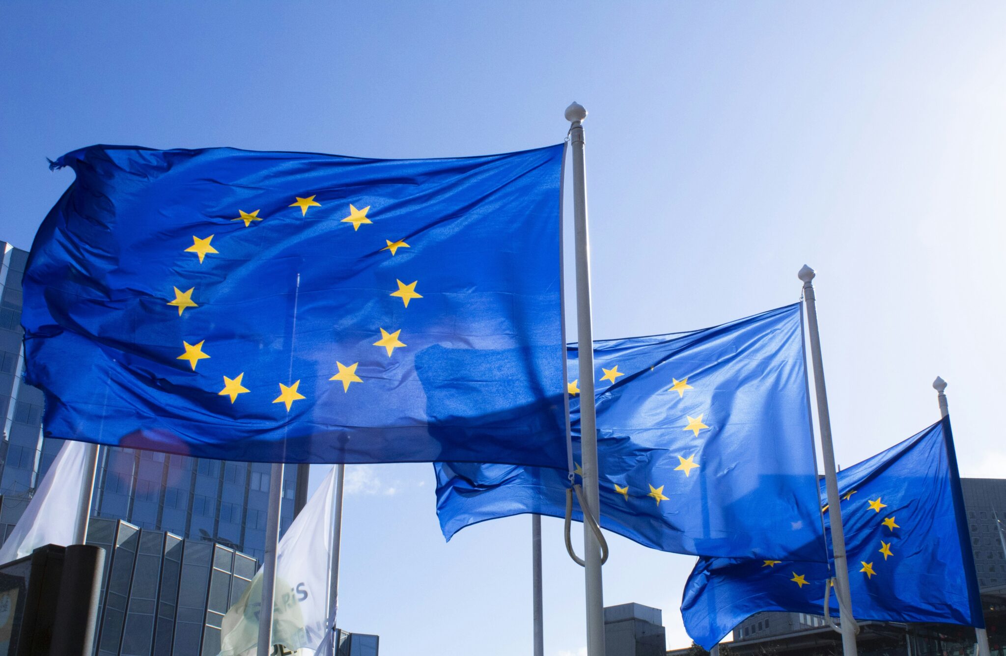 EUDR Monitoring: What It Is and How to Get It Right